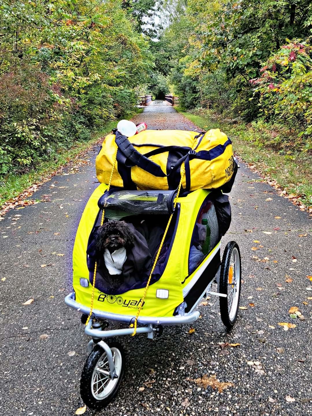 Booyah Strollers - Child and Pet Dog Strollers and Bike Trailers.