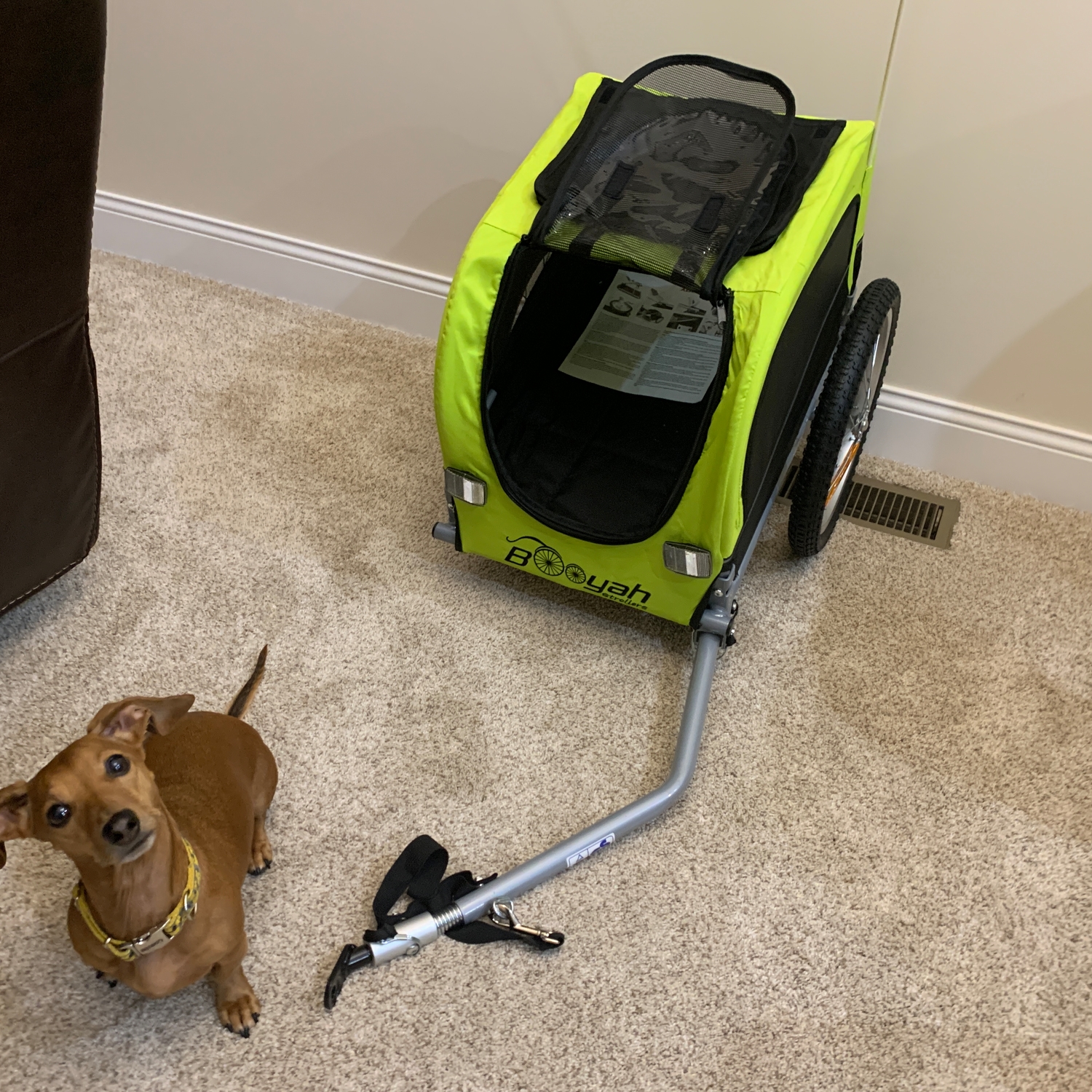 Bike Trailer Stroller - Booyah Strollers