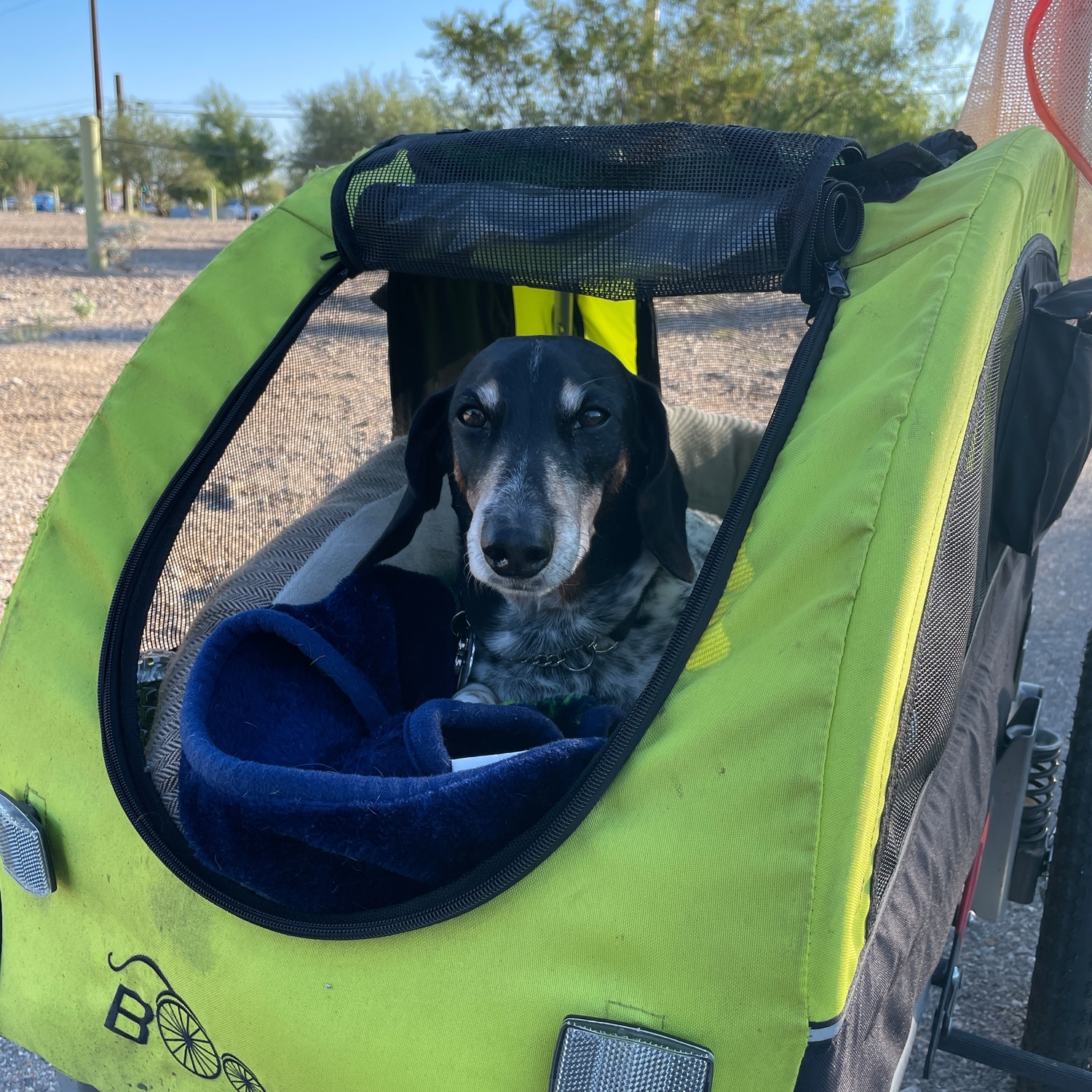 Baby and Pets Strollers and Bike Trailers – Booyah Strollers