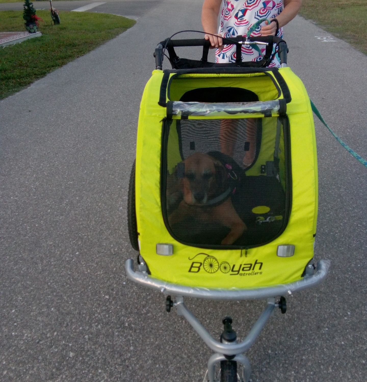 Baby and Pets Strollers and Bike Trailers – Booyah Strollers