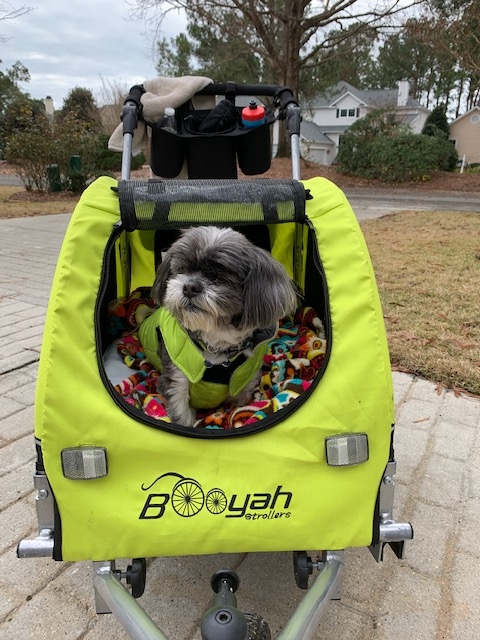 Baby and Pets Strollers and Bike Trailers – Booyah Strollers