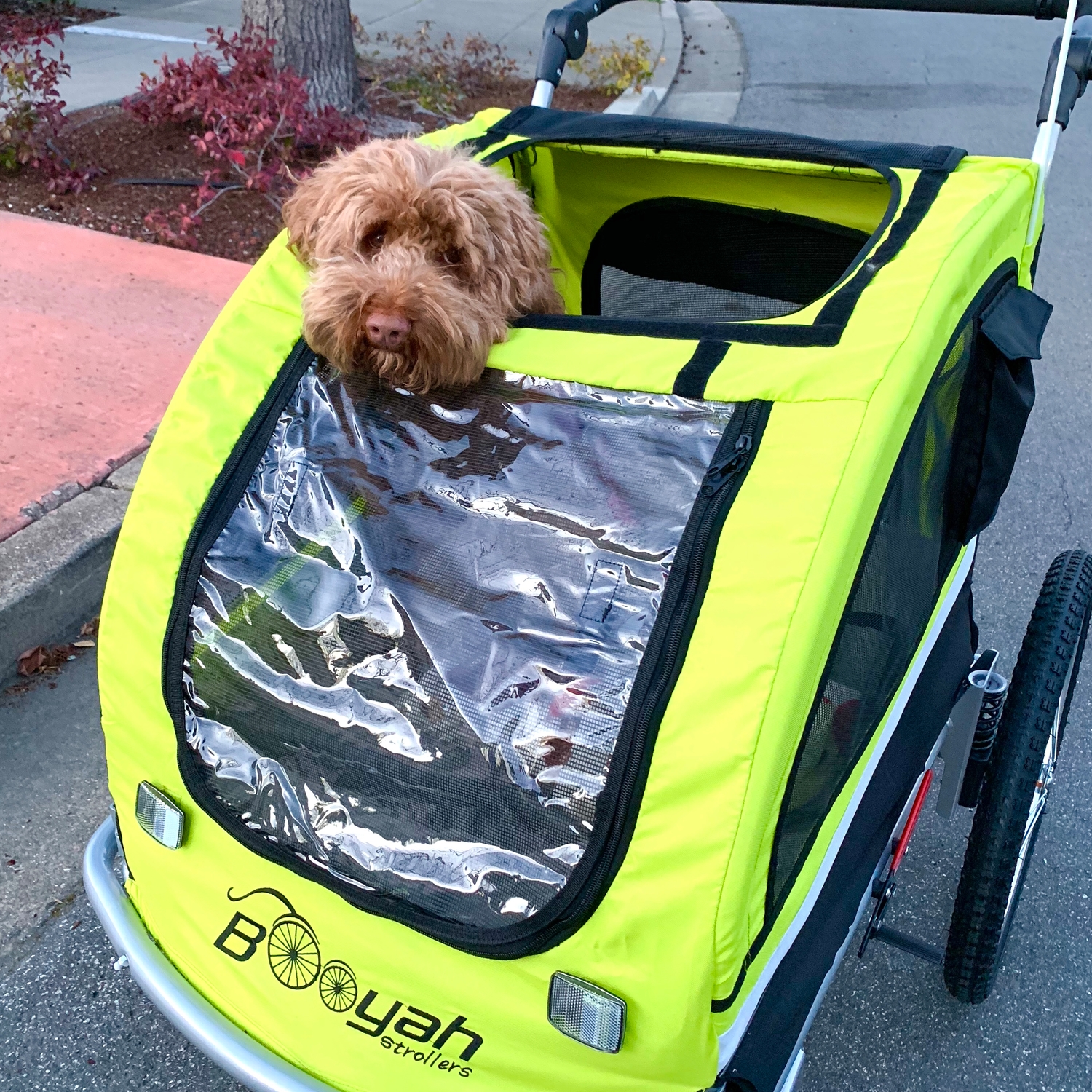 Booyah Large Pet Dog Stroller Carrier, Bike Trailer and Jogger with Su ...