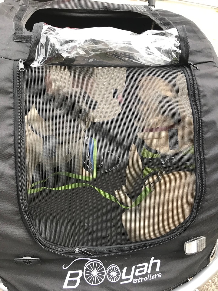 Baby and Pets Strollers and Bike Trailers – Booyah Strollers