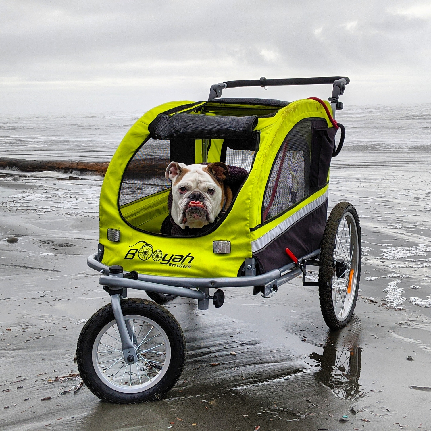 Large Pet Stroller, Bike Trailer and Jogger with Suspension - Orange ...