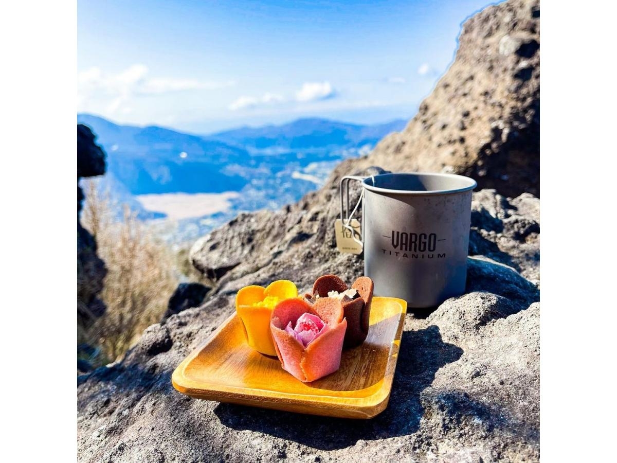 Titanium 450 Travel Mug | Outdoor Travel Companion – VARGO