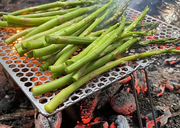 Titanium BiFold Grill | For Backpacking – VARGO