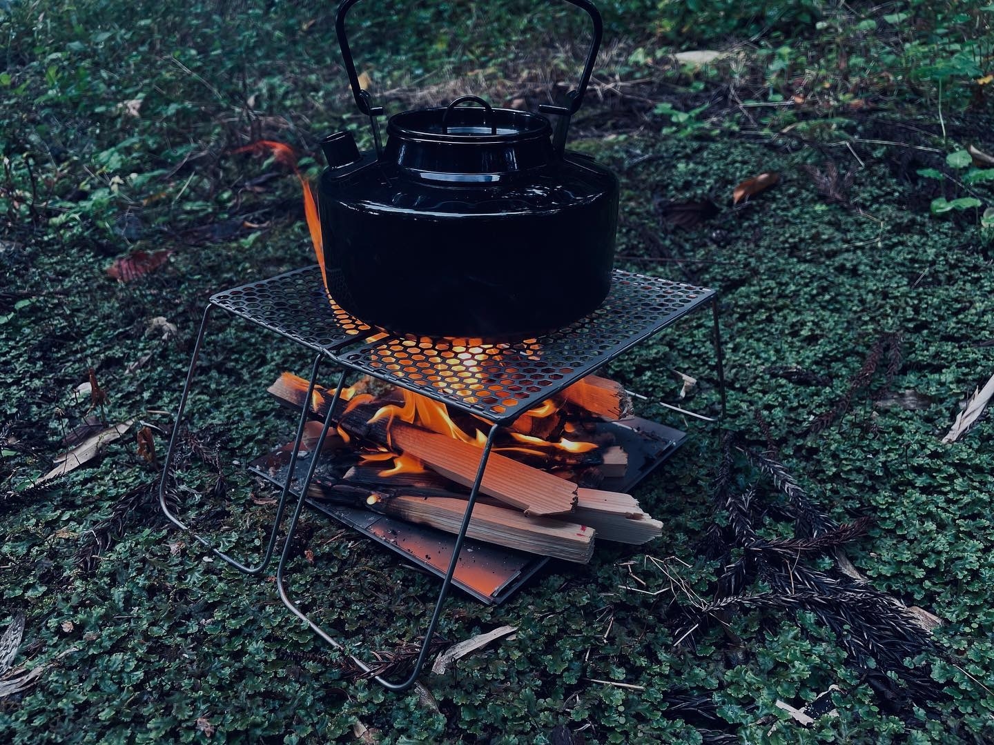 Titanium BiFold Grill | For Backpacking – VARGO