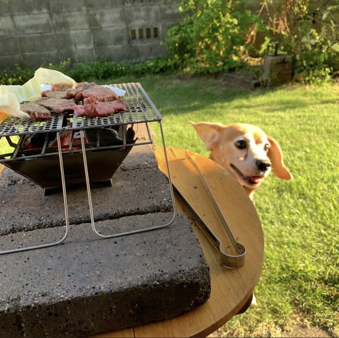 Titanium Fire Box Grill 2.0 | For Backpacking – VARGO